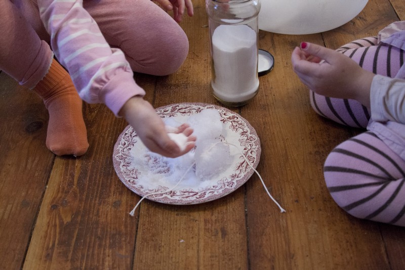 Teaduskatse: jää ja sool – Mutukamoos
